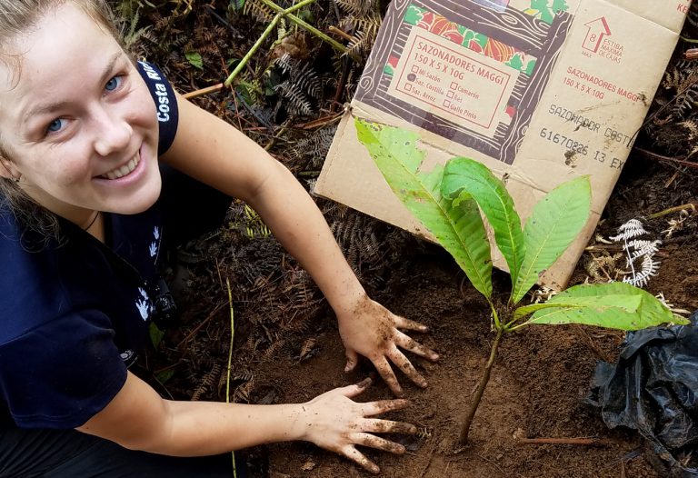 Reforestation - Cloudbridge Nature Reserve in Costa Rica Reserva ...