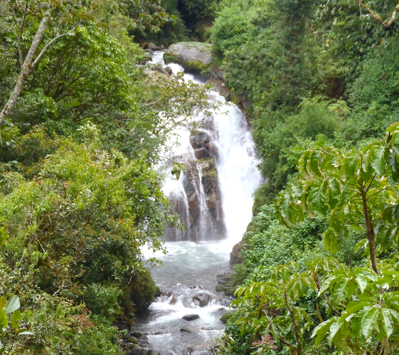 Hiking Trails - Cloudbridge Nature Reserve in Costa Rica Reserva ...