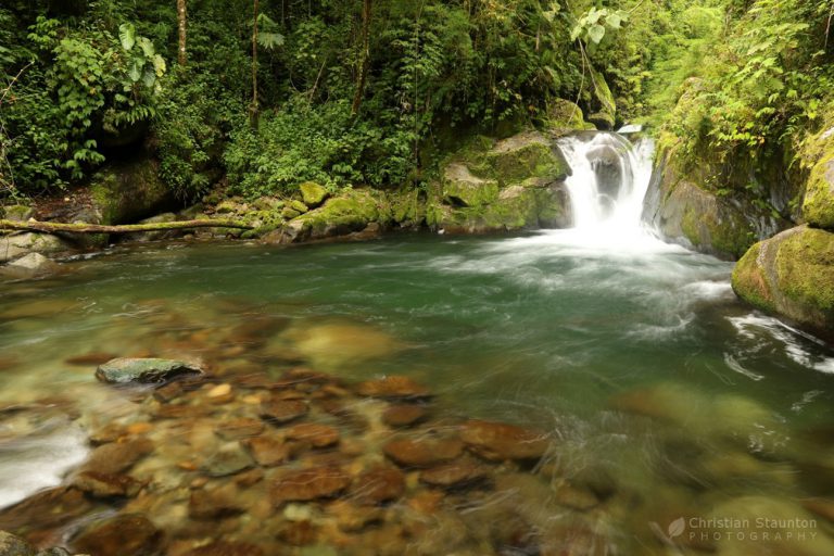 About Your Stay - Cloudbridge Nature Reserve in Costa Rica Reserva Natural en Costa Rica