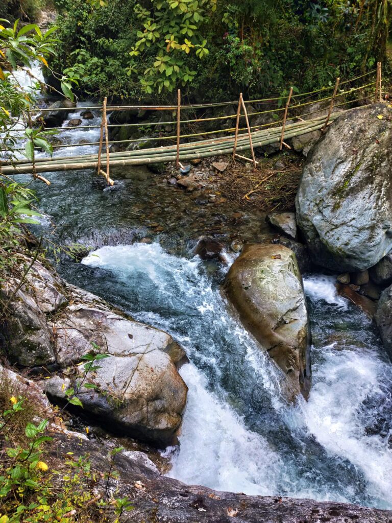 December 2020 - Cloudbridge Nature Reserve in Costa Rica Reserva ...