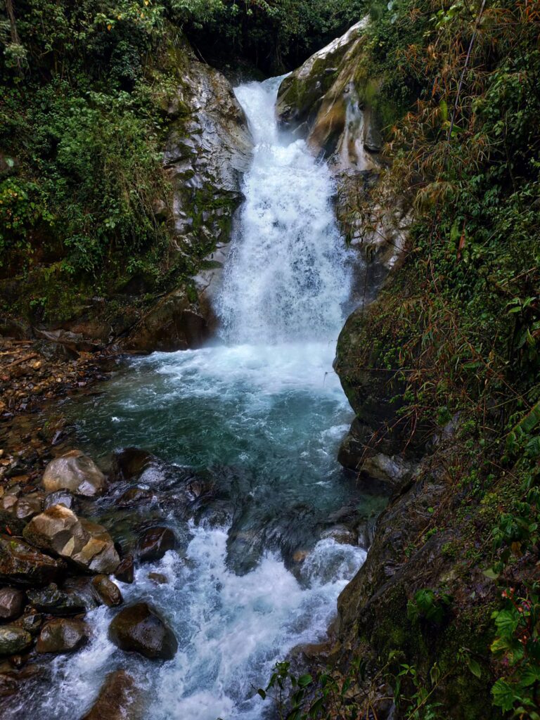 December 2020 - Cloudbridge Nature Reserve in Costa Rica Reserva ...