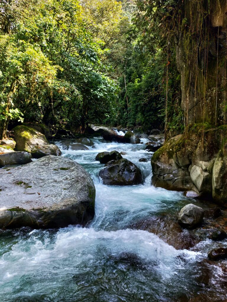 December 2020 - Cloudbridge Nature Reserve in Costa Rica Reserva ...
