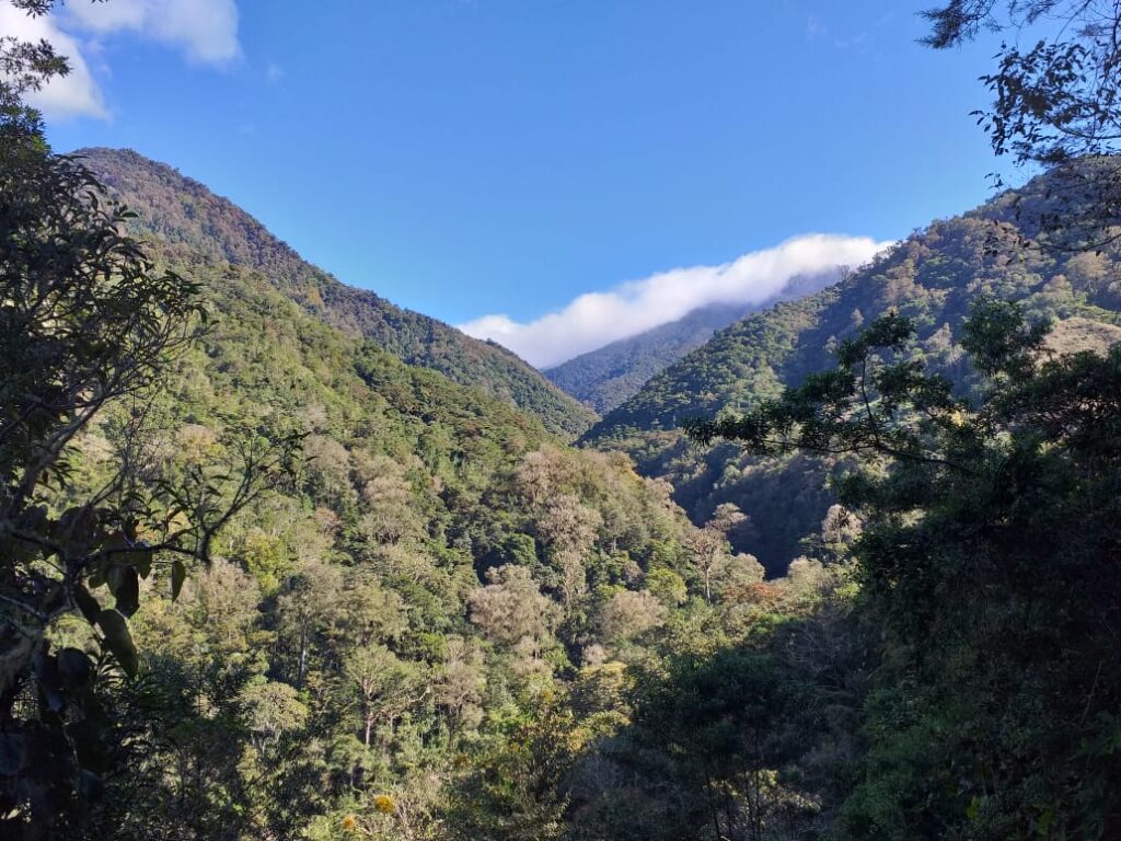 December 2020 - Cloudbridge Nature Reserve in Costa Rica Reserva ...
