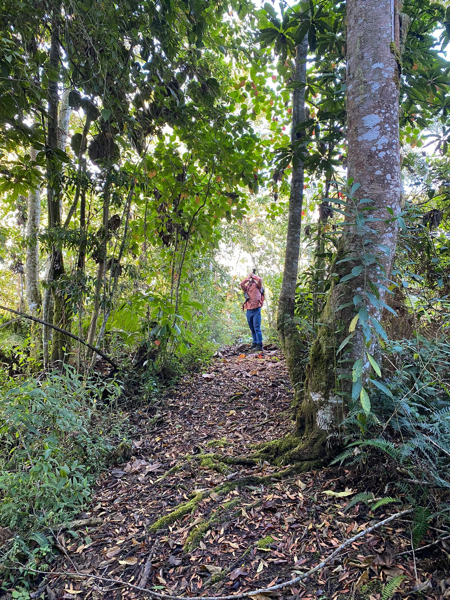 January 2022 - Cloudbridge Nature Reserve in Costa Rica Reserva Natural ...