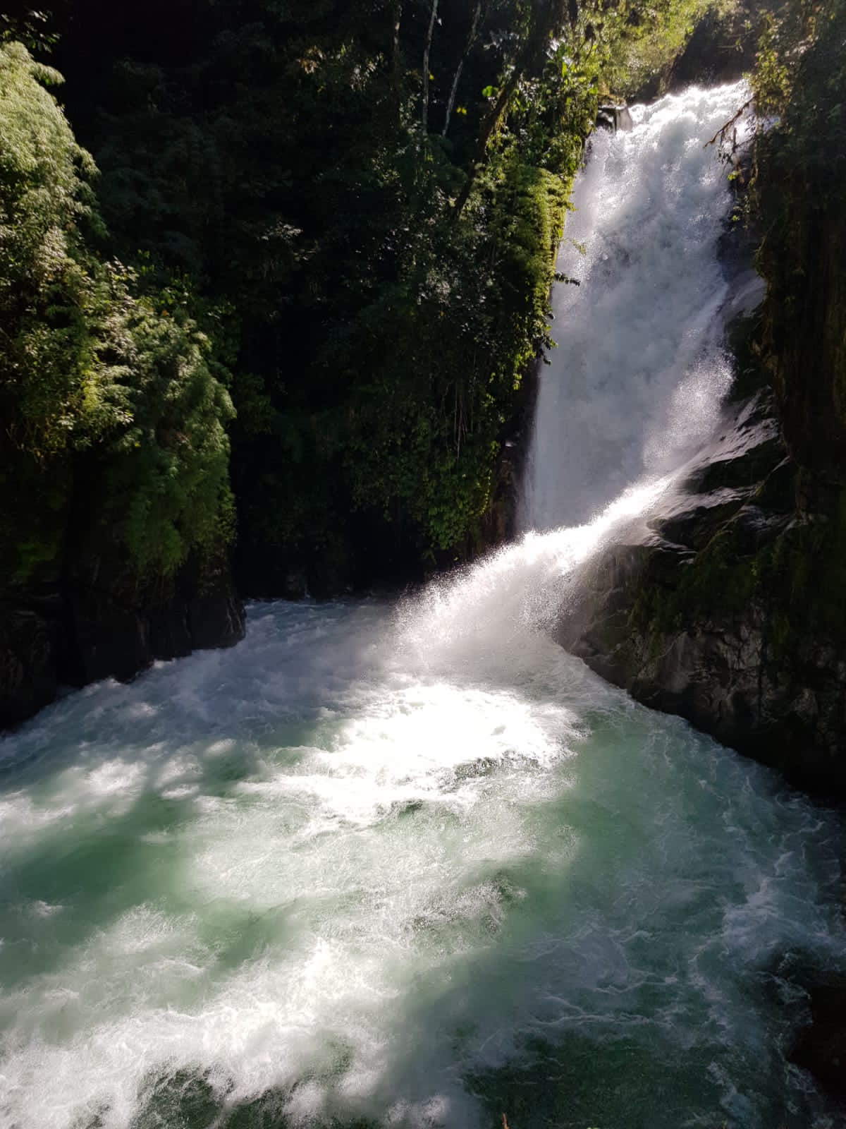 September 2022 - Cloudbridge Nature Reserve in Costa Rica Reserva Natural en Costa Rica