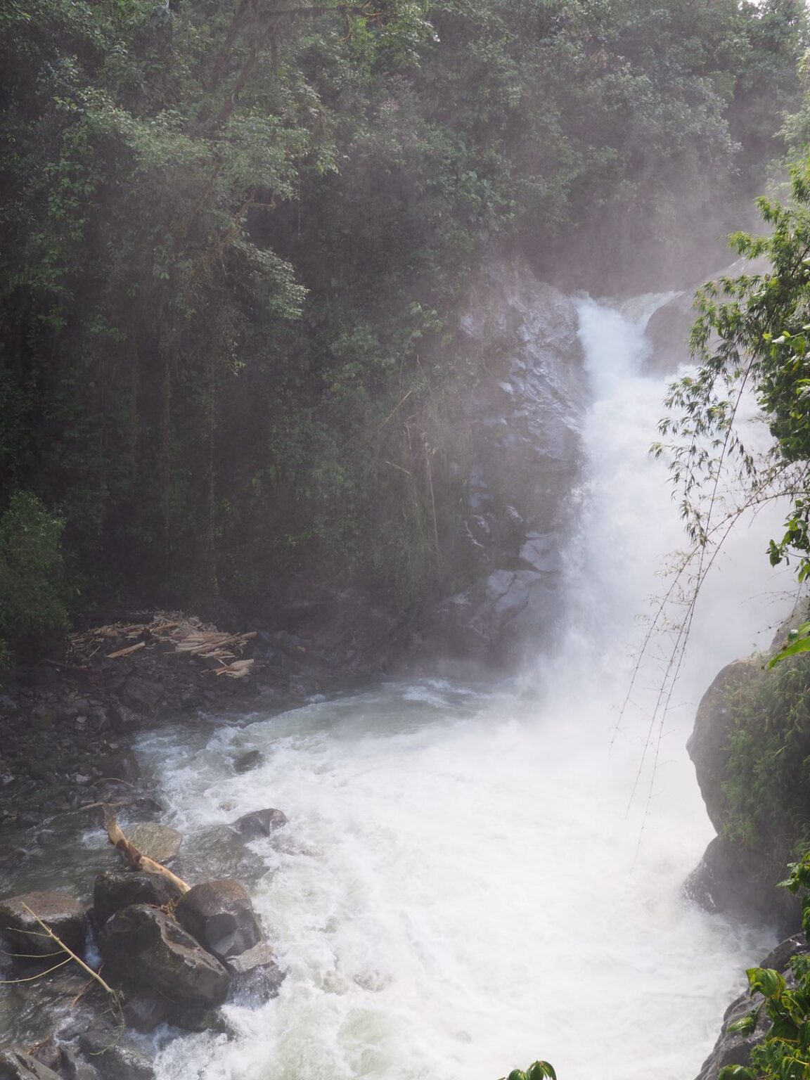 October 2022 - Cloudbridge Nature Reserve in Costa Rica Reserva Natural ...