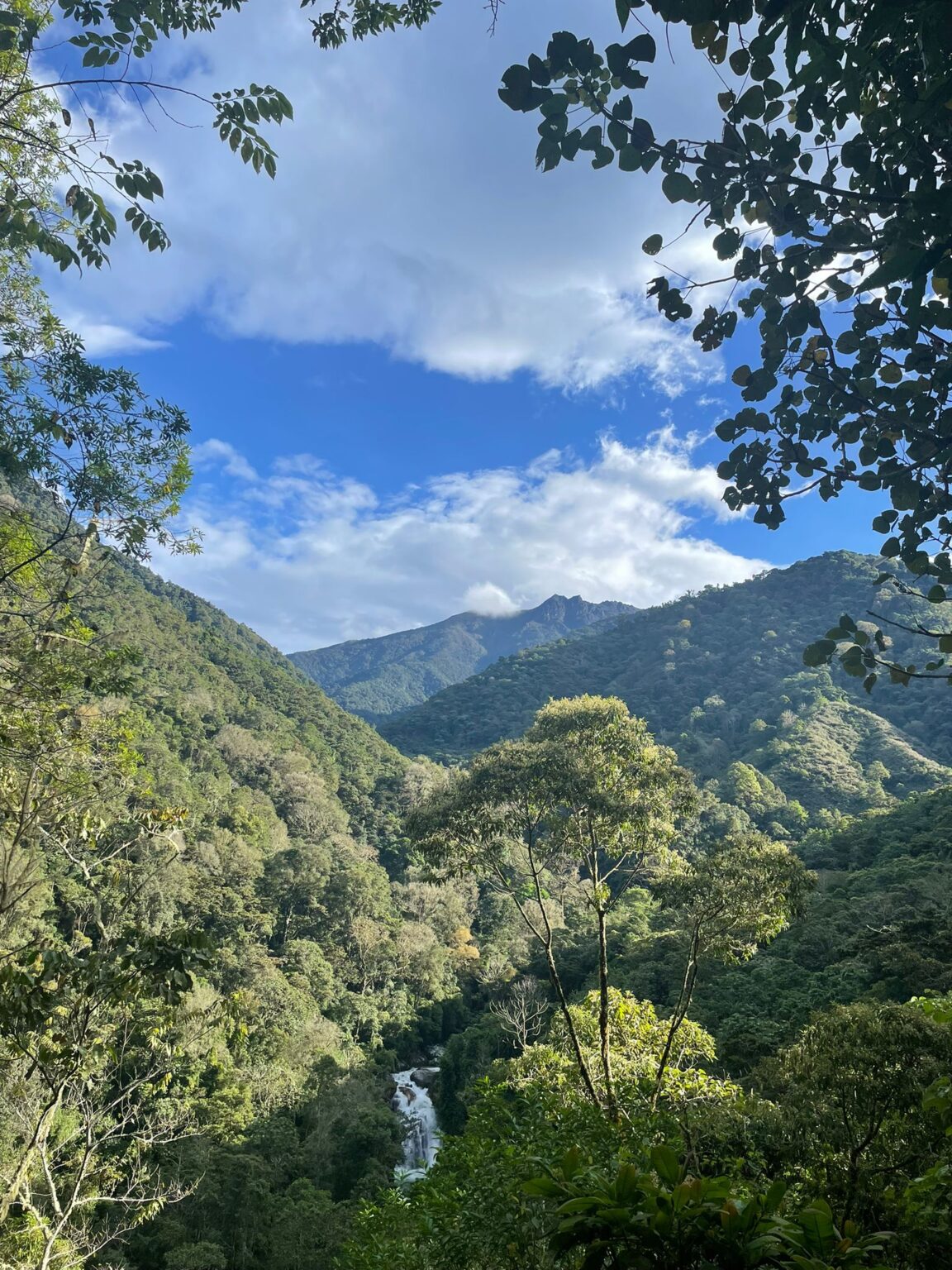 November 2022 - Cloudbridge Nature Reserve in Costa Rica Reserva Natural en Costa Rica