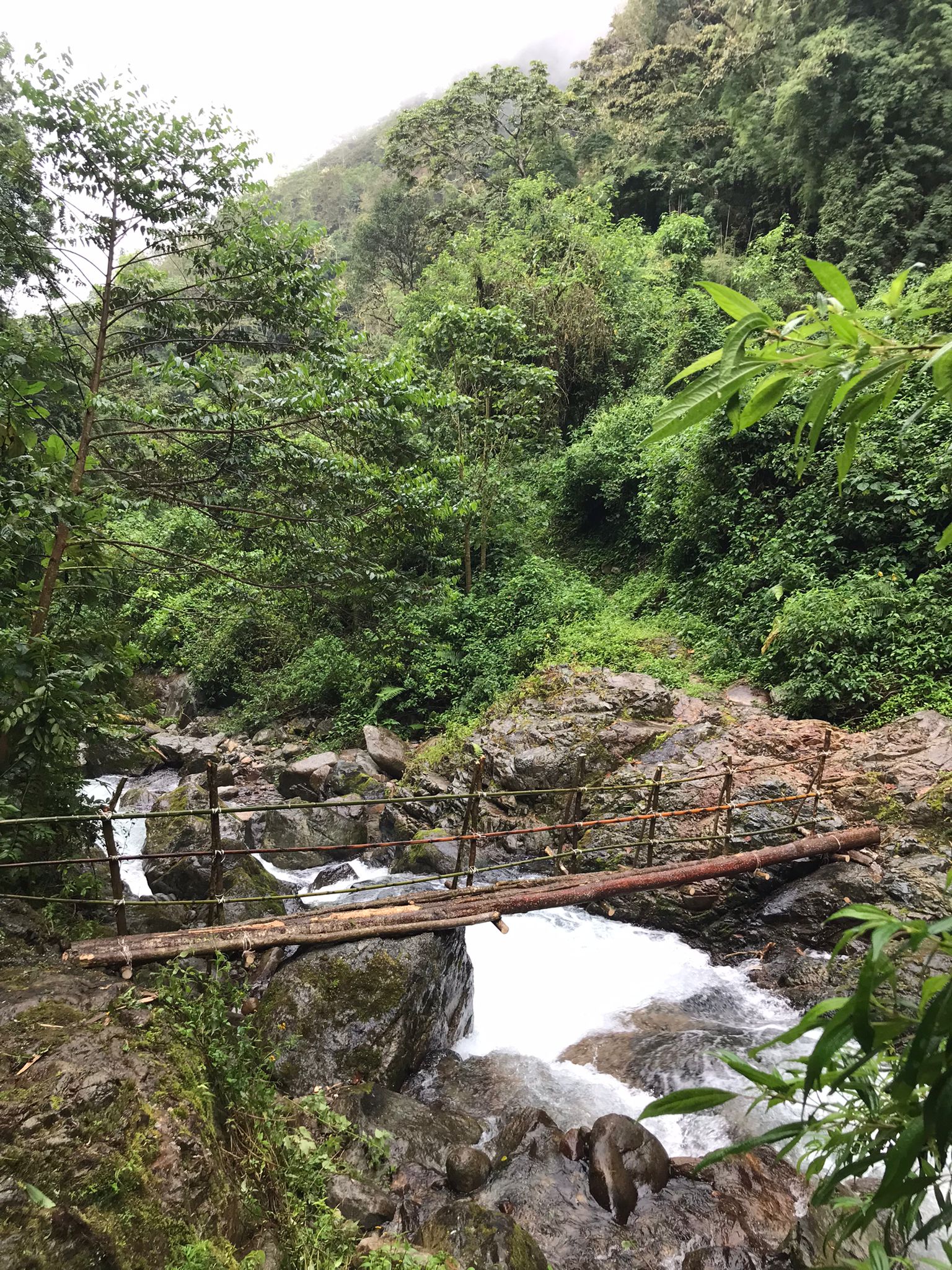 December 2022 - Cloudbridge Nature Reserve in Costa Rica Reserva ...