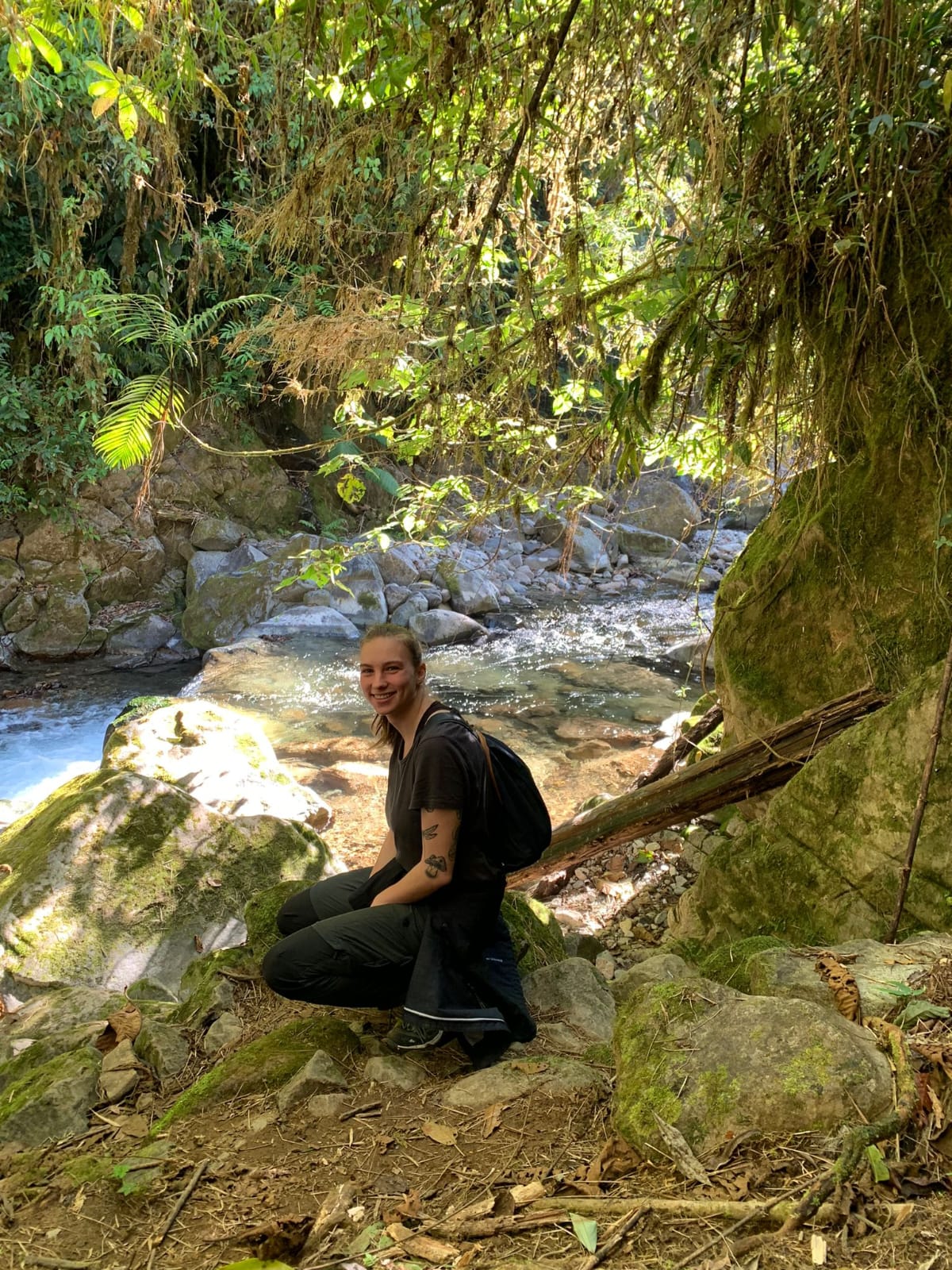 Dry Season in the Talamanca Mountains - Cloudbridge Nature Reserve in Costa Rica Reserva Natural ...