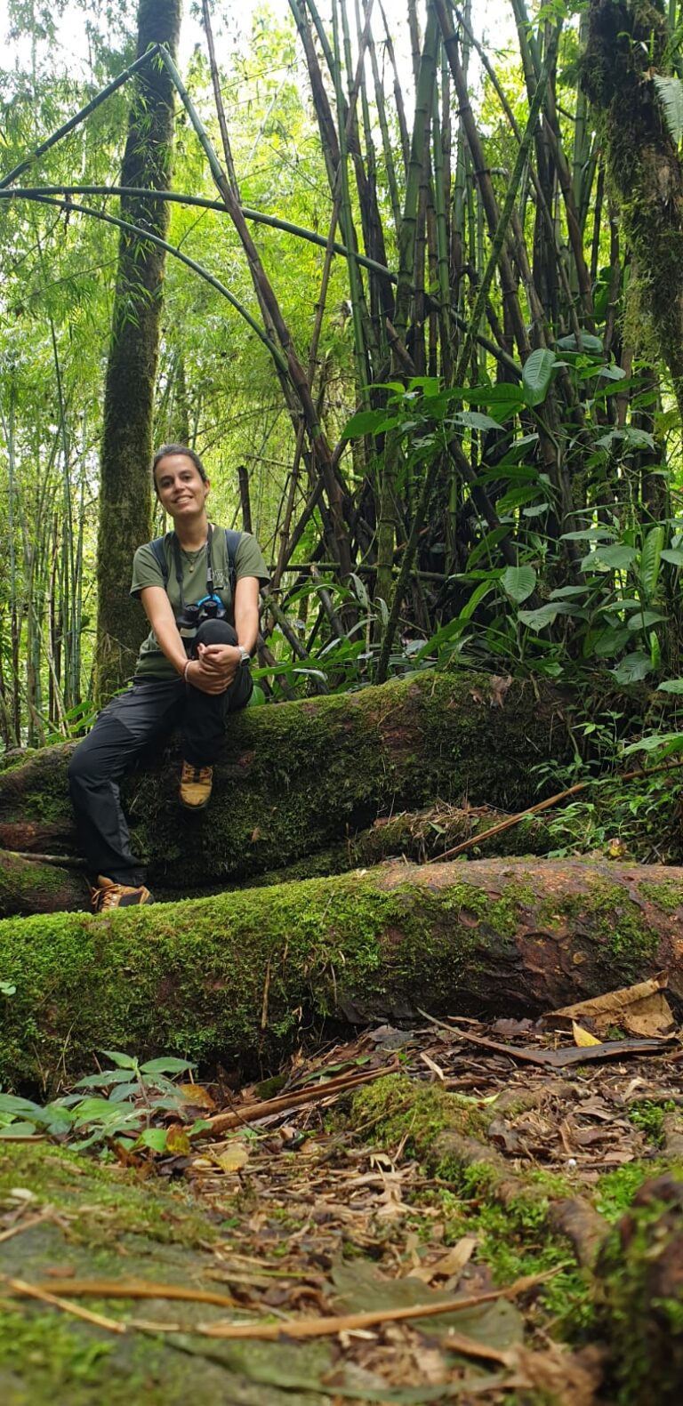 We love trees! - Cloudbridge Nature Reserve in Costa Rica Reserva ...