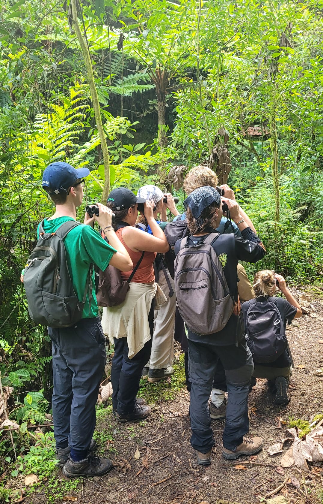 Comparing Different Methodologies for Effective Bird Surveys ...