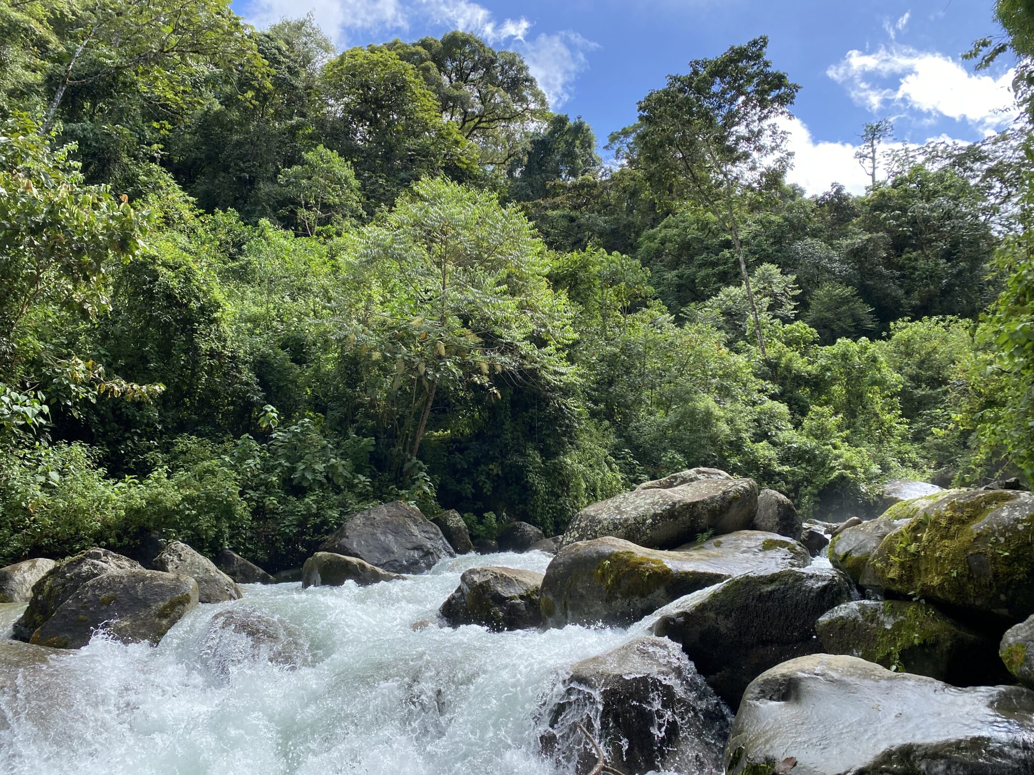 The Factors that Influence Animal Abundance and Richness within a ...