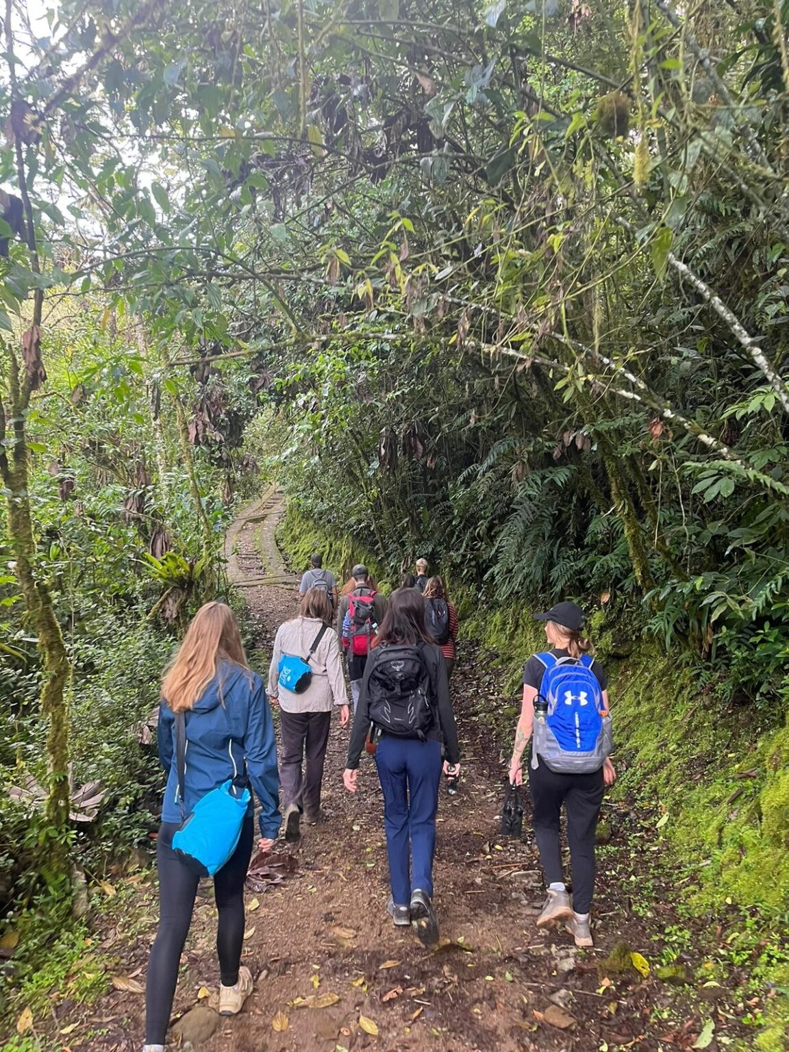 November program blog - Cloudbridge Nature Reserve in Costa Rica ...