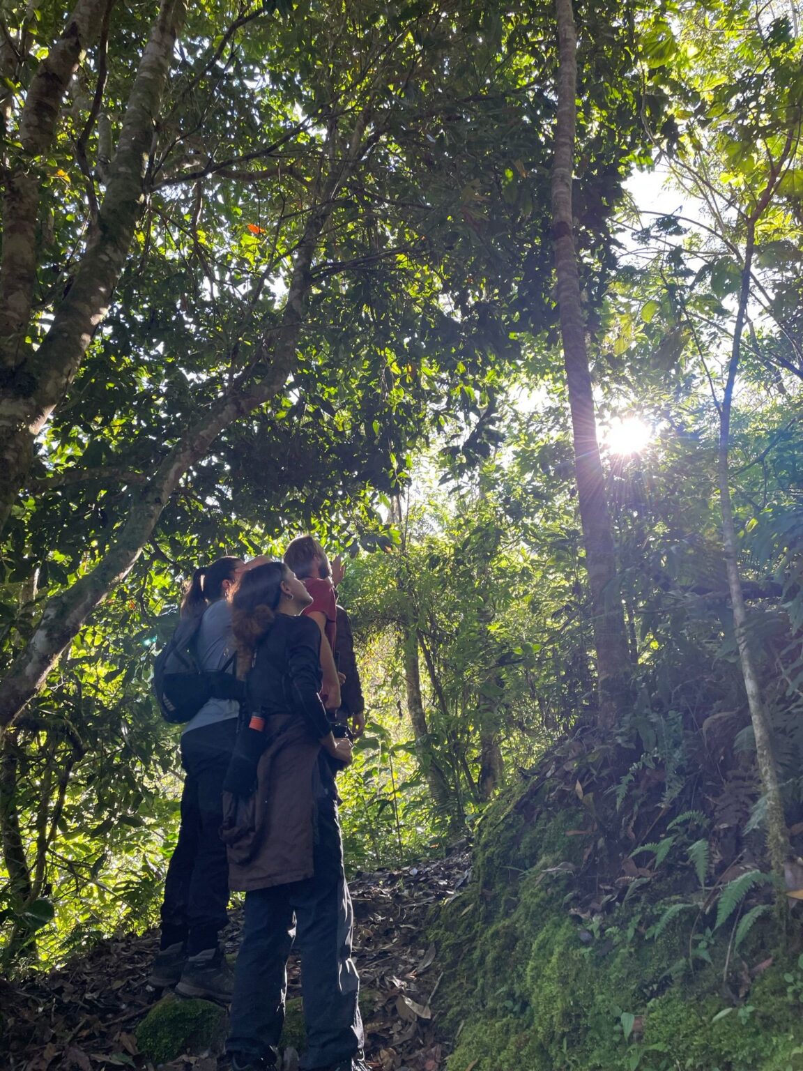 November program blog - Cloudbridge Nature Reserve in Costa Rica Reserva Natural en Costa Rica