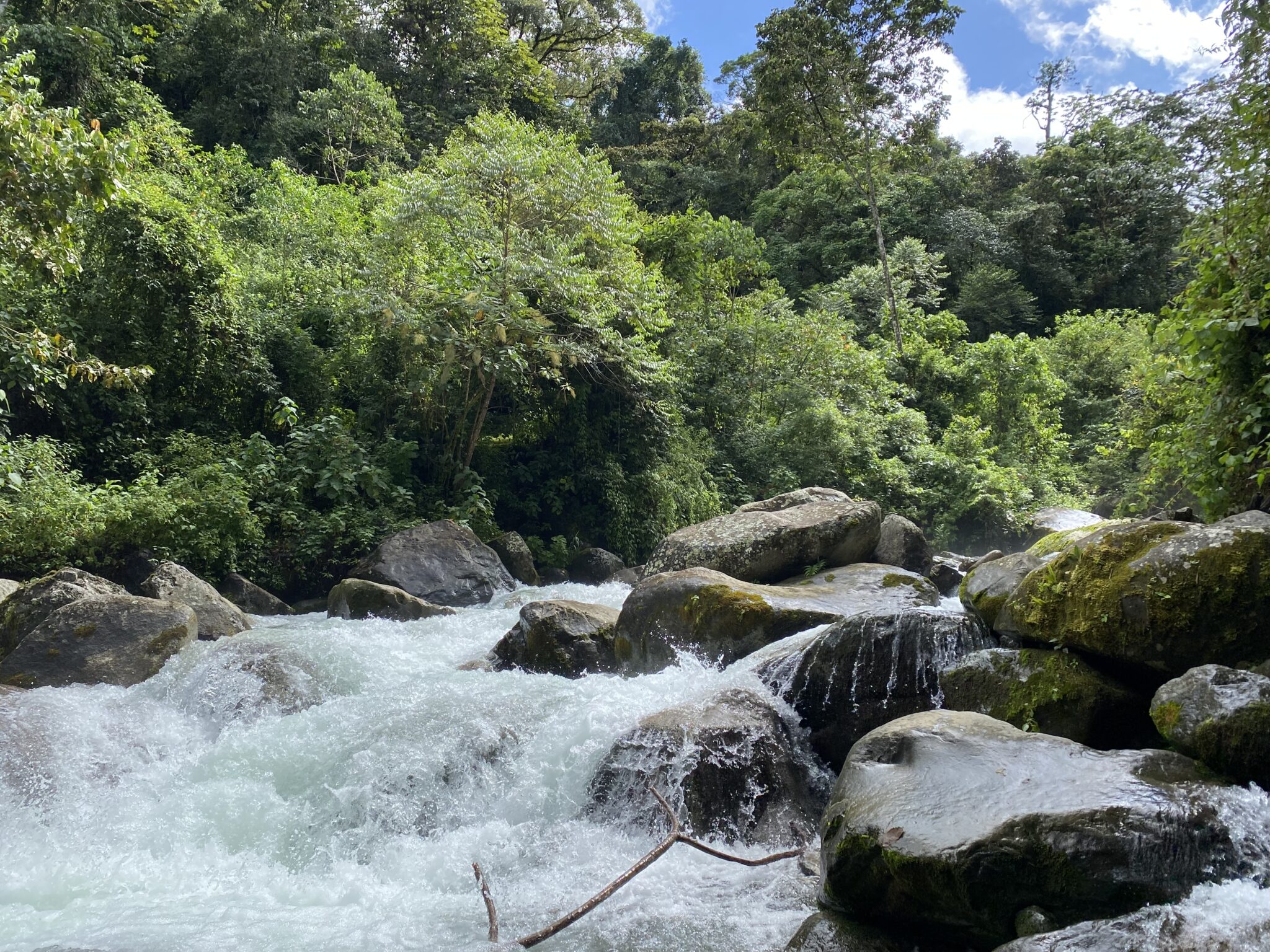 Benthic Communities within Cloudbridge Water Streams - Cloudbridge ...