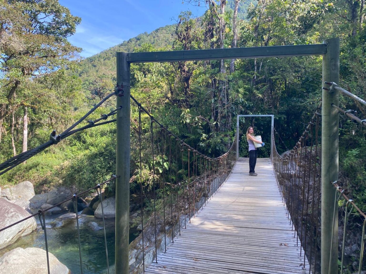 Planting trees again! - Cloudbridge Nature Reserve in Costa Rica ...