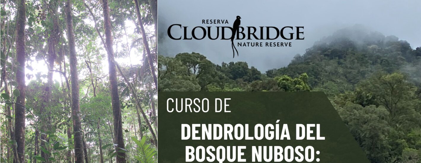 Welcome to Cloudbridge! - Cloudbridge Nature Reserve in Costa Rica ...
