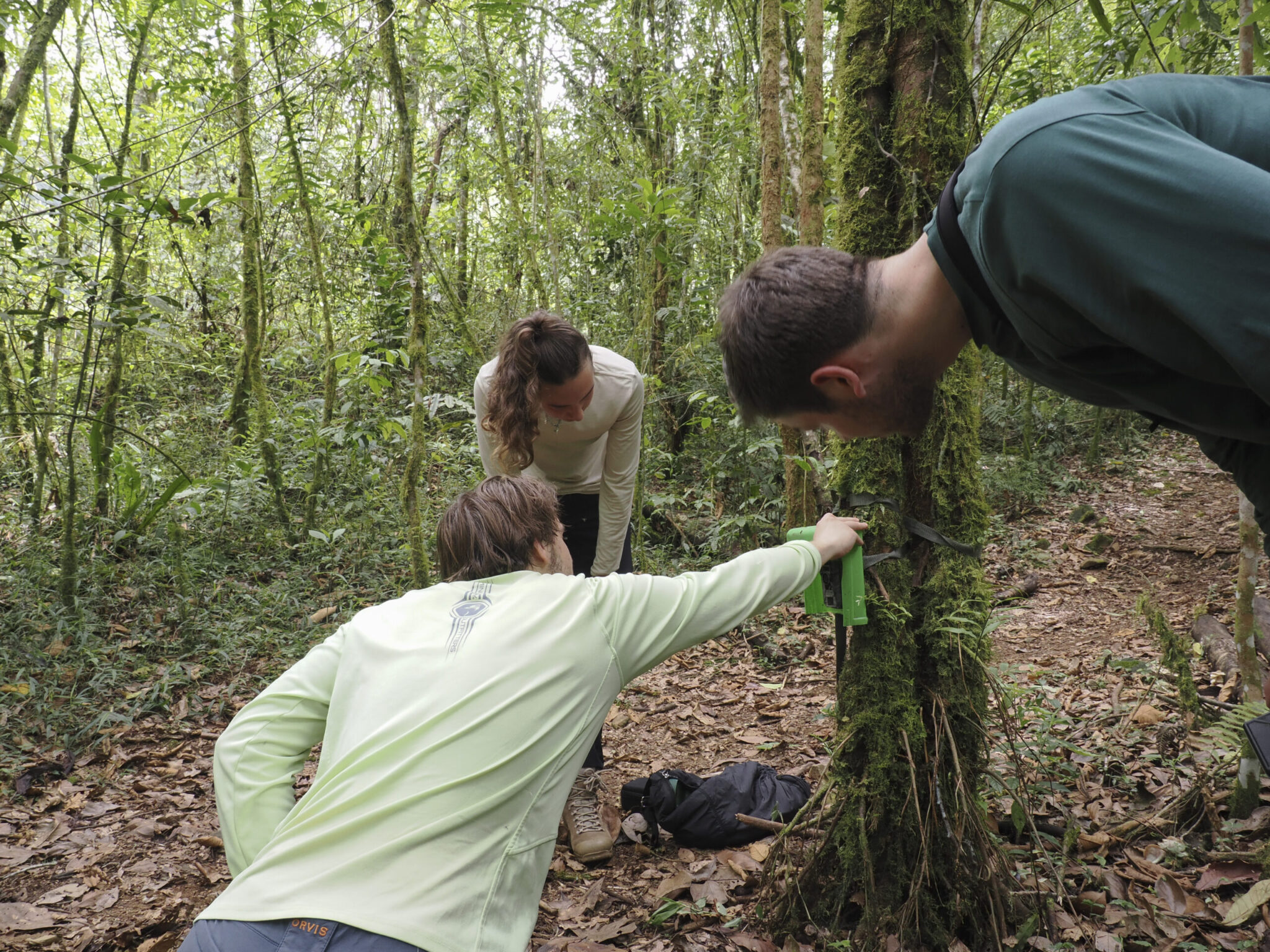 Help Us Keep Eyes in the Forest: Support Cloudbridge’s Camera Trap ...
