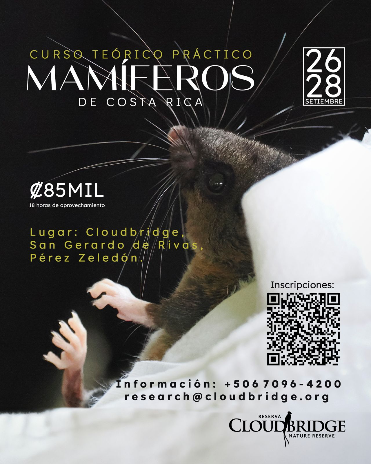 Welcome to Cloudbridge! - Cloudbridge Nature Reserve in Costa Rica ...